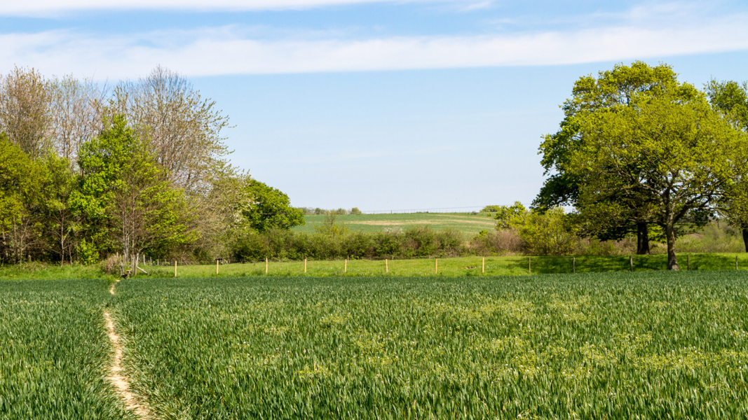 Is Crawley a Nice Place to Live?